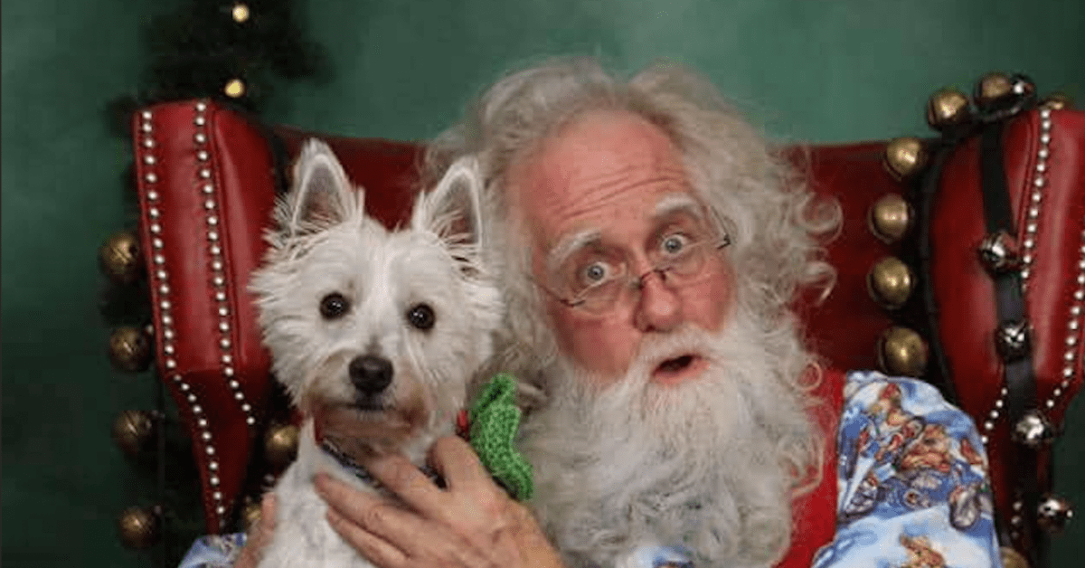 Rochester's beloved 'Real Santa' announces plan to retire - Bring Me ...