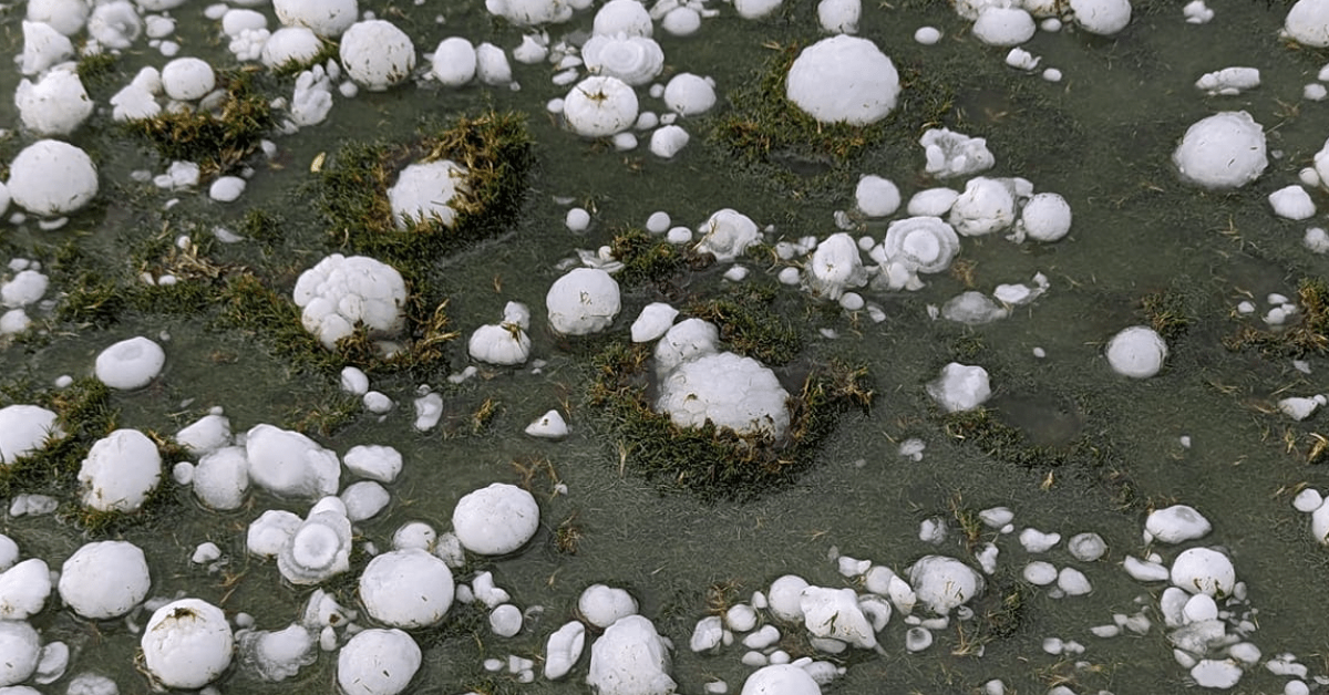 Massive hail obliterates greens at Minnesota golf course - Bring Me The ...