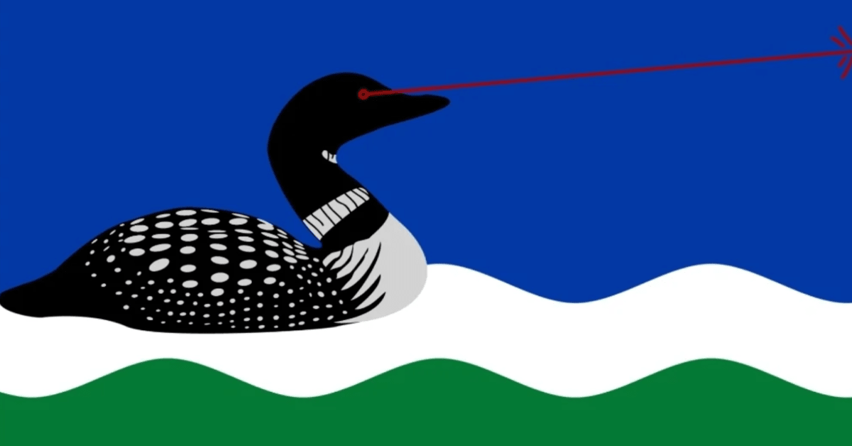 The most incredible citizen submissions for Minnesota's new state flag ...