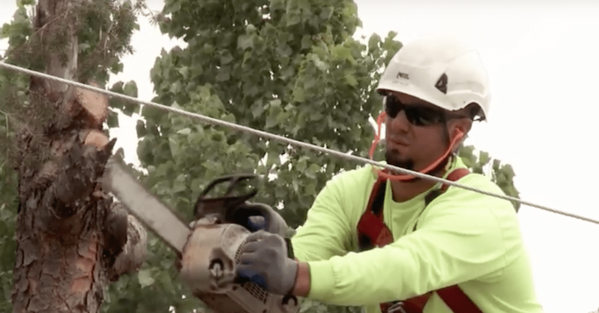 'Growing wildfire risk' leads Xcel Energy to change tree trimming ...