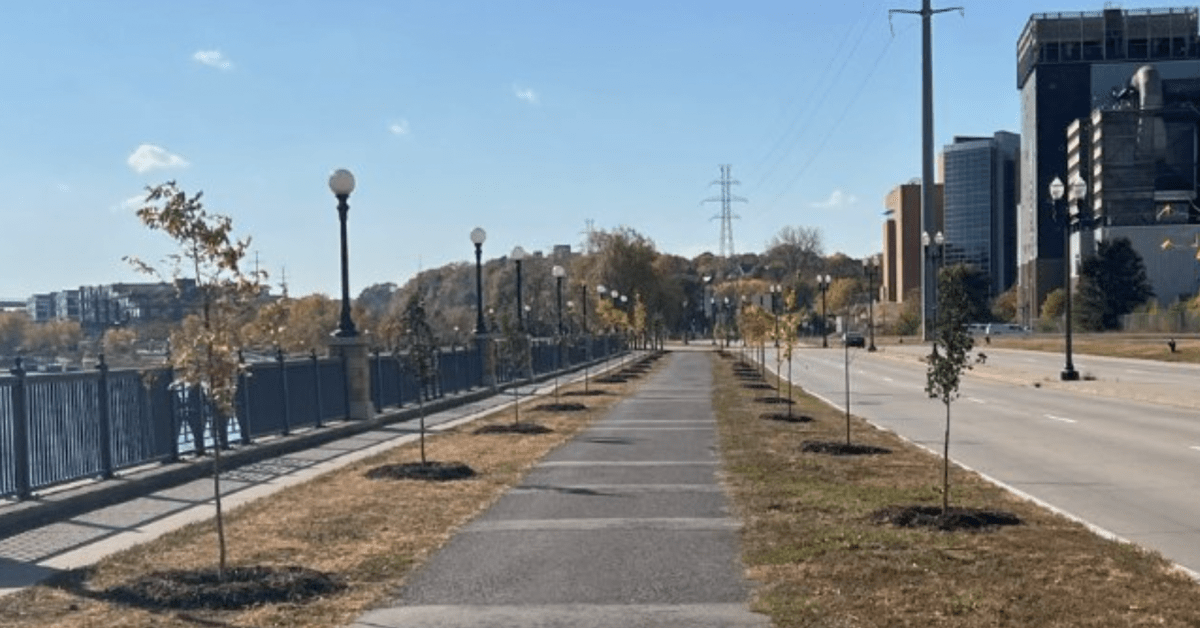 Vandals destroy 60 newly planted trees on St. Paul's Shepard Road ...