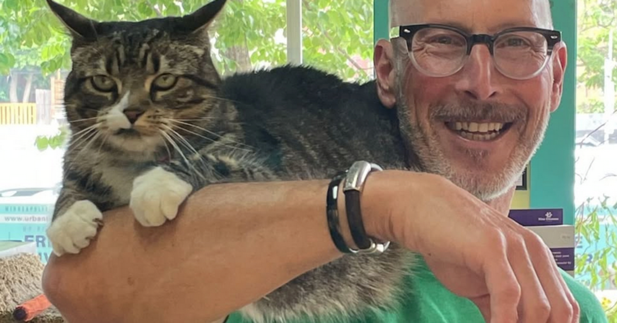 Owner of Uptown pet supply store dies in 'tragic accident' - Bring Me ...