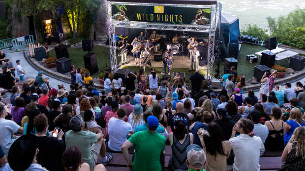 MN Zoo's Wild Nights concert series returns with Cloud Cult, Cactus ...