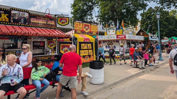 Minnesota State Fair's 'lowest price of the year' ticket sale happening ...