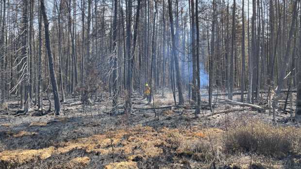 As Camp House and Jenkins Creek fires fade, a new wildfire ignites in ...