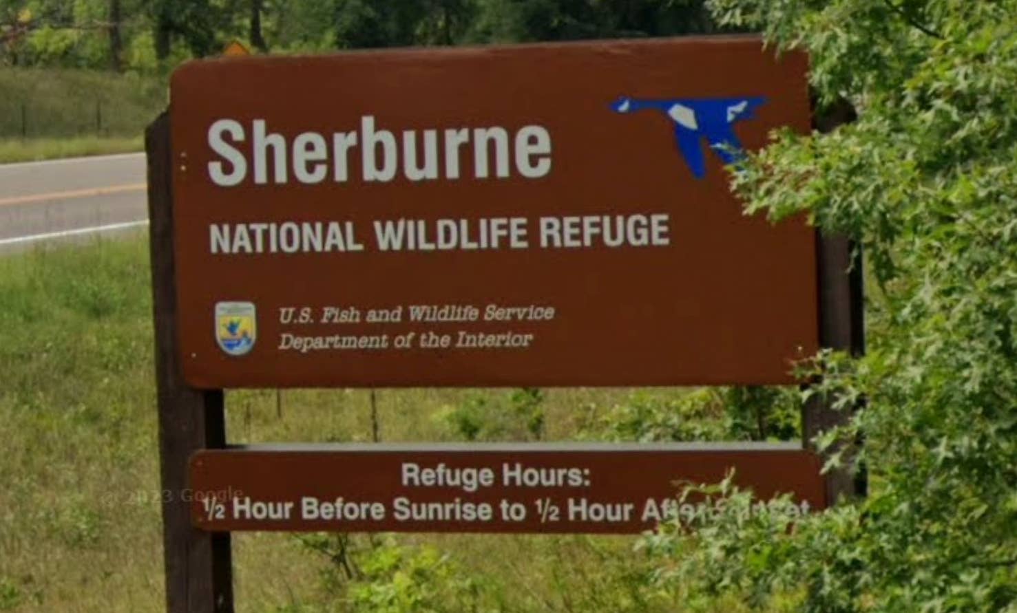 Over 29,000 sandhill cranes counted at Sherburne National Wildlife ...