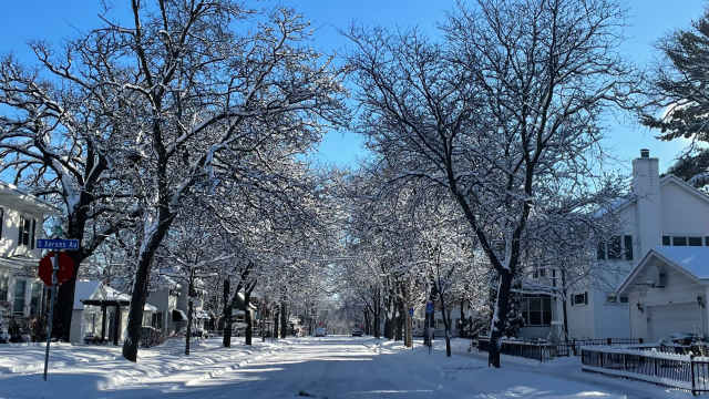 Minnesota weather forecast: Enjoy the winter wonderland while you can ...