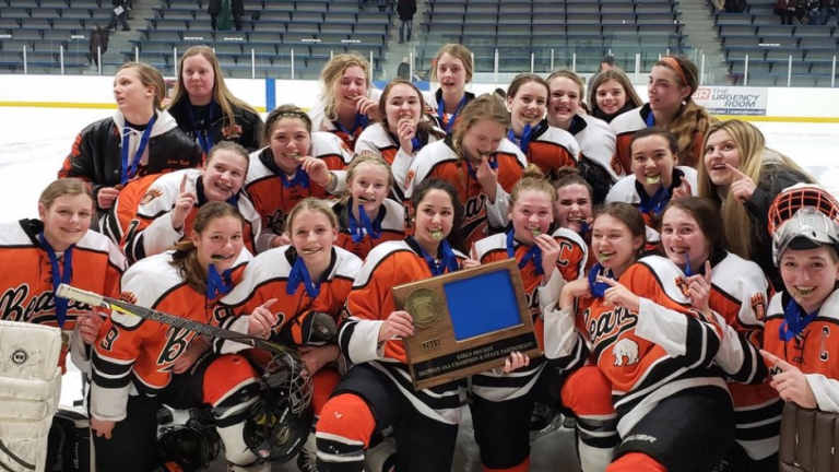 Here are the brackets for the State Girls' Hockey Tournament - Bring Me ...