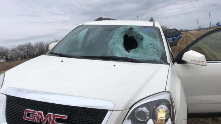 Turkey smashes through SUV's windshield on Interstate 94 in northwest ...