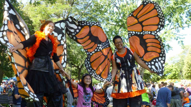 This year, saving monarchs begins at home with virtual Minneapolis ...