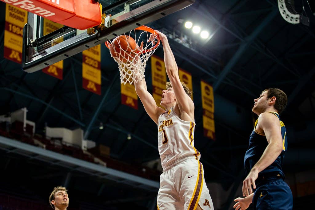 Liam Robbins is 7th Gopher to enter NCAA transfer portal - Bring Me The ...