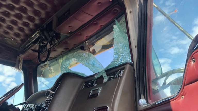 Turkey crashes through semi's windshield, somehow survives - Bring Me ...