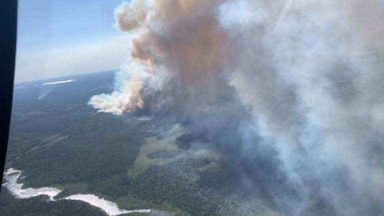Large wildfire erupts and is 'moving quickly' in northern Minnesota ...