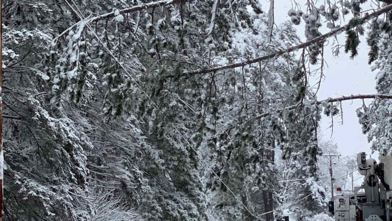 Heavy snow cuts power to 50,000 Minnesota, western Wisconsin homes and ...