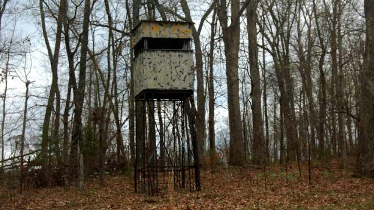 Wabasha teenager airlifted after 20-foot fall from tree stand - Bring ...