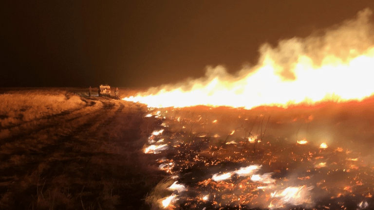 Wildfire in northwest Minnesota has scorched nearly 13,000 acres ...