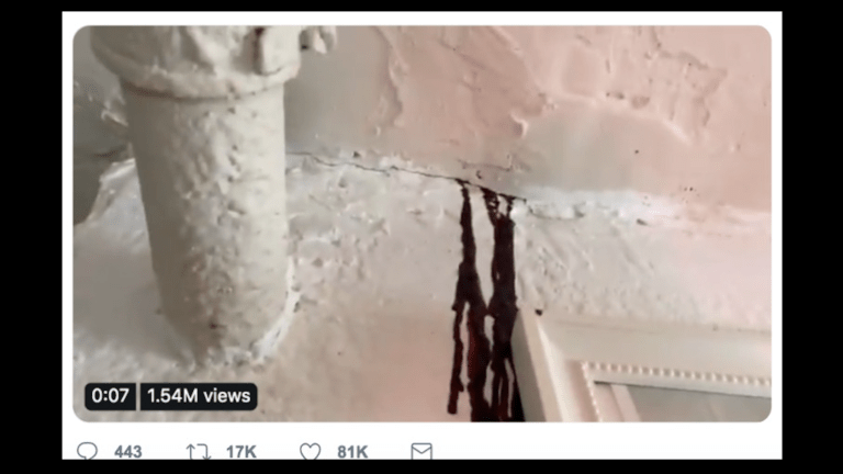 Liquid running down MN apartment wall; dead body was in unit above ...