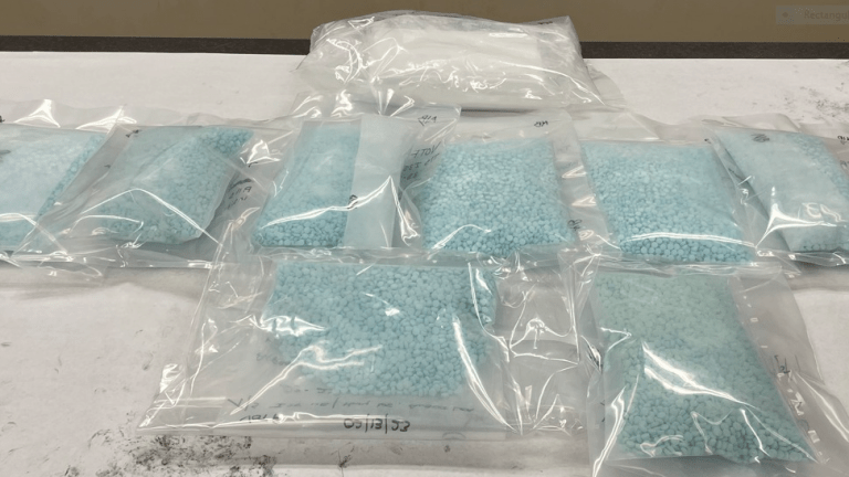 'Approximately 45,000' fentanyl pills seized in southern MN drug bust ...