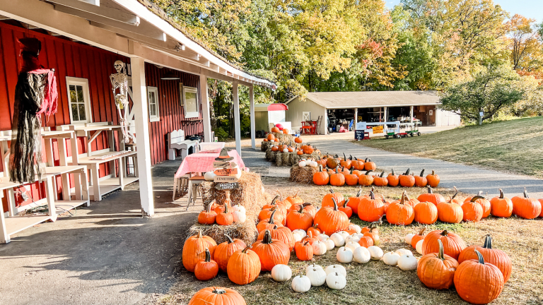 Minnetonka Orchard adds wine garden, corn pit for its fall events ...