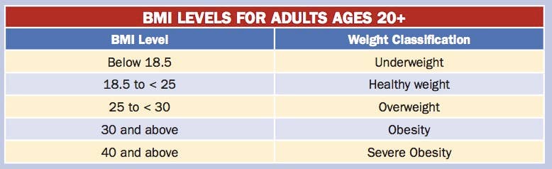 Study: Minnesota's obesity rate reaches a new record high - Bring Me ...
