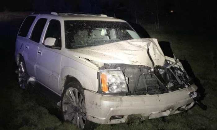 Driver swerves into pasture, hits and kills cow - Bring Me The News