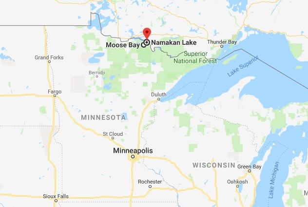Minnesota wolf researchers stumble upon largest tree of its kind in ...