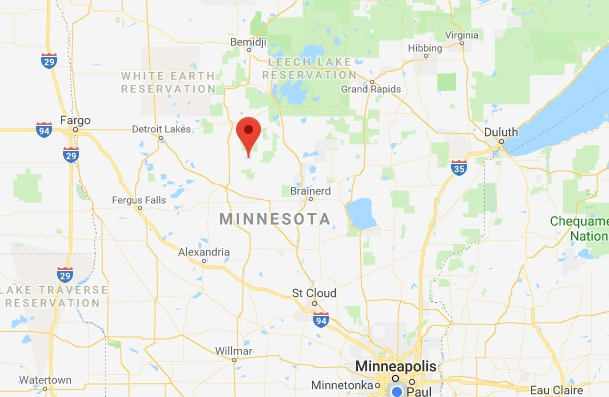 142-pound cougar hit by car in northern Minnesota - Bring Me The News