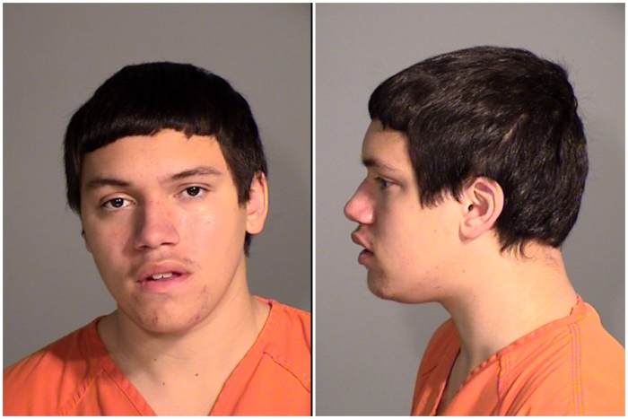 Charges: St. Paul man had sexual contact 'multiple times' with 12-year ...