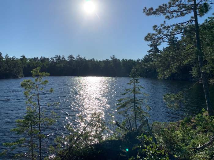 4 rescued from capsized boat in Voyageurs National Park - Bring Me The News