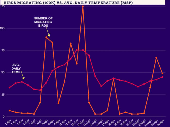 How Minnesota's stalled spring is creating a bird traffic jam - Bring ...