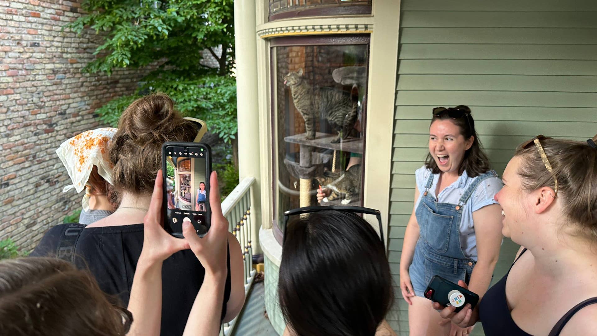 Wedge 'cat tour' draws big crowd to admire neighborhood cats - Bring Me ...
