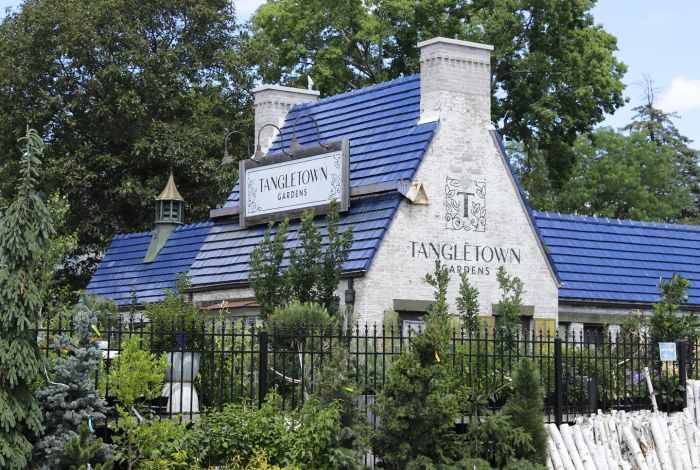 Tangletown Gardens' Garden & Art Tour returns after 4-year hiatus ...