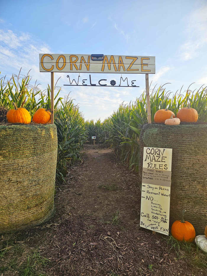 Big Springs' sprawling, gnome-laden corn maze is open for the season - Bring Me The News
