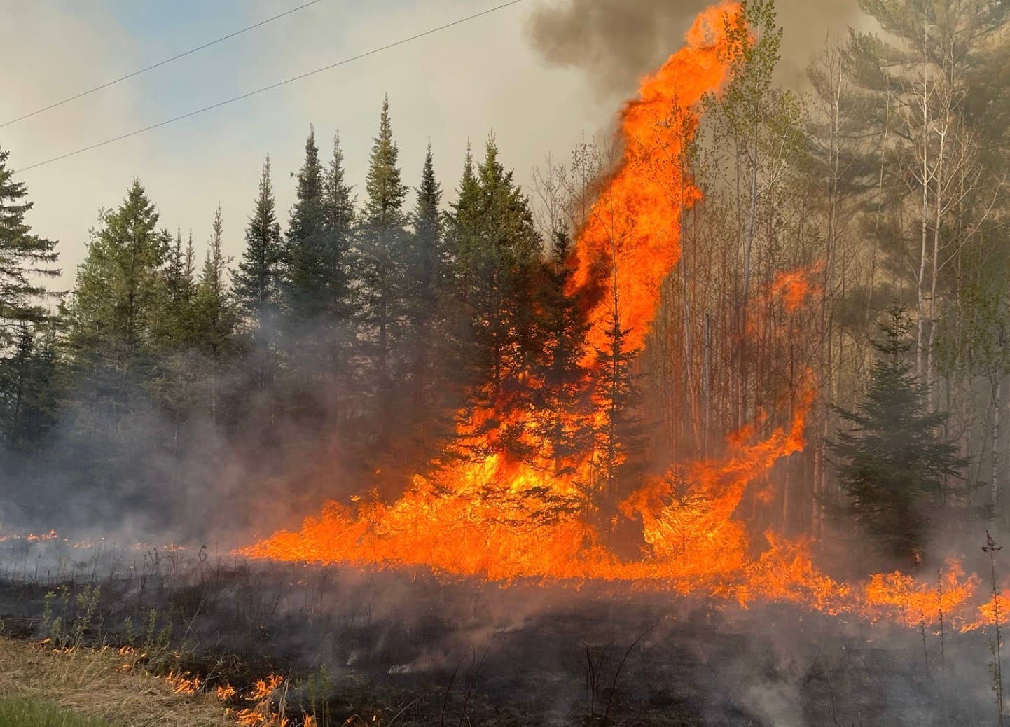 Evacuation order lifted for 1 of 3 wildfires in northern Minnesota ...