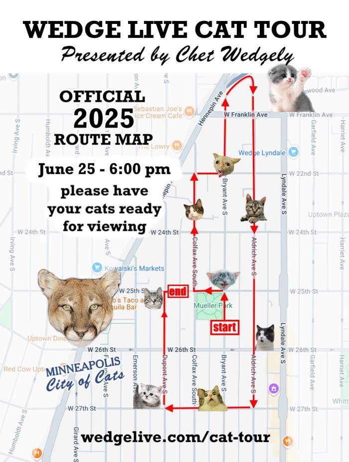 Minneapolis neighborhood cat tour returns next week - Bring Me The News