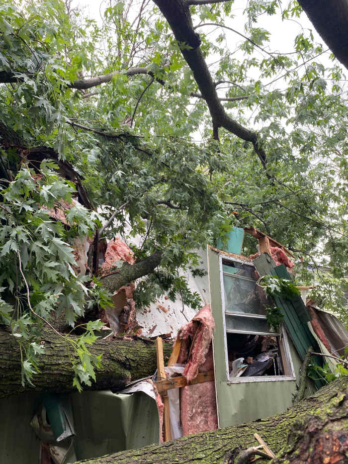 'A bike saved my life,' says Owatonna mother after tree lands on home ...