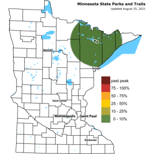 With leaves already changing, DNR launches Fall Color Finder early ...