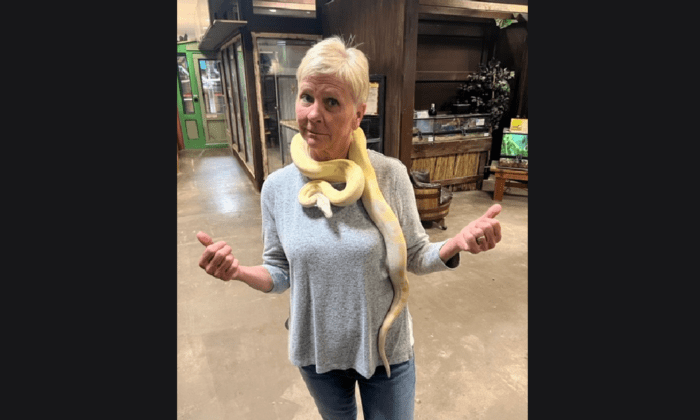 Lee Valsvik leaves 'KARE 11 Saturday' after 26 years - Bring Me The News