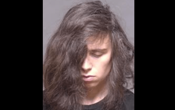 Charges: Ex-partner flew to Minnesota and murdered Liara Tsai before ...