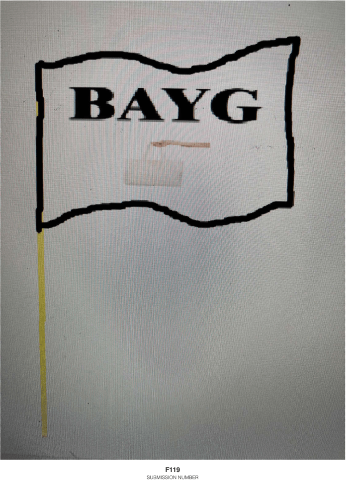 The most incredible citizen submissions for Minnesota's new state flag ...