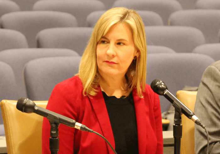 'Melissa’s Seat': Special election set to fill Minnesota House seat ...