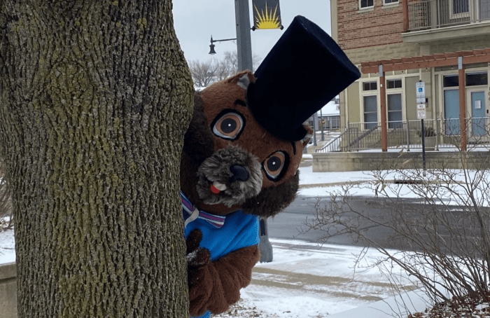 Wisconsin groundhog Jimmy ranked 6th-most accurate rodent forecaster ...