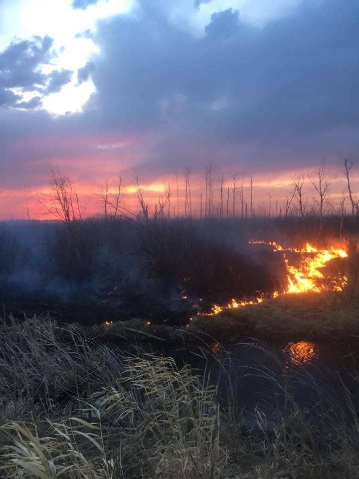 'Extreme' fire risk in 32 Minnesota counties on Saturday - Bring Me The ...