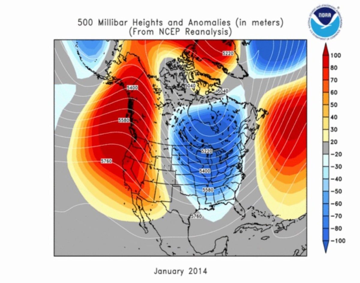 Ocean phenomenon called 'the blob' could have big impact on Minnesota's ...