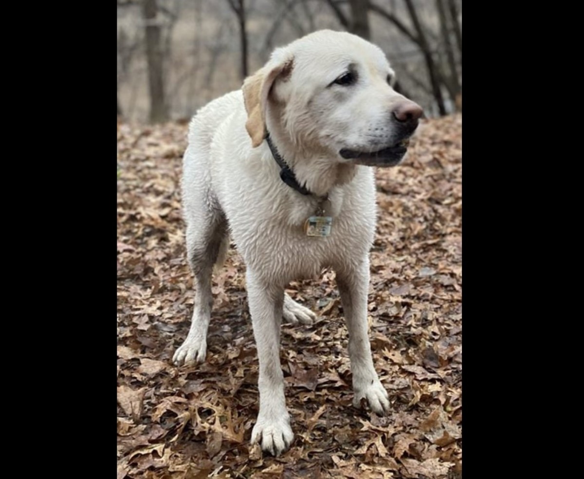 Six months on, devoted family not giving up search to find missing ...