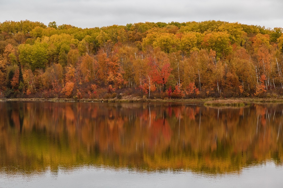 Minnesota is the 3rd best state to move to in the US - Bring Me The News