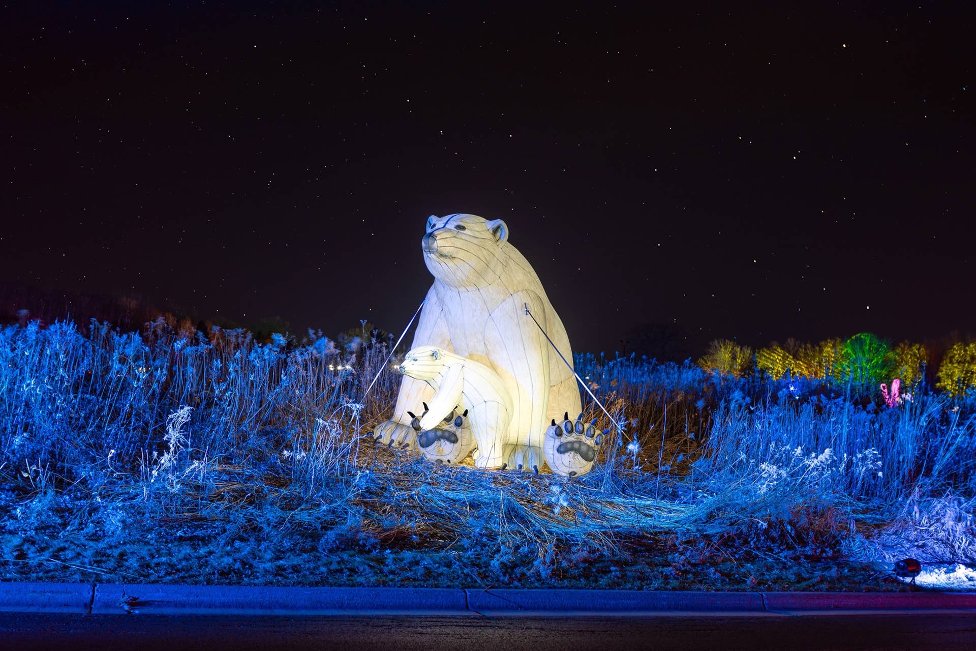 Giant, illuminated animals return to Minnesota Zoo this winter - Bring ...