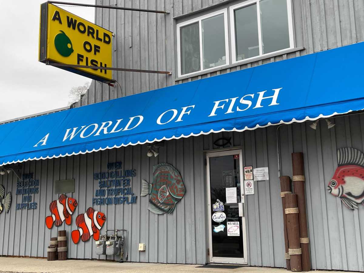 A World of Fish in Richfield closing after nearly 50 years in business ...