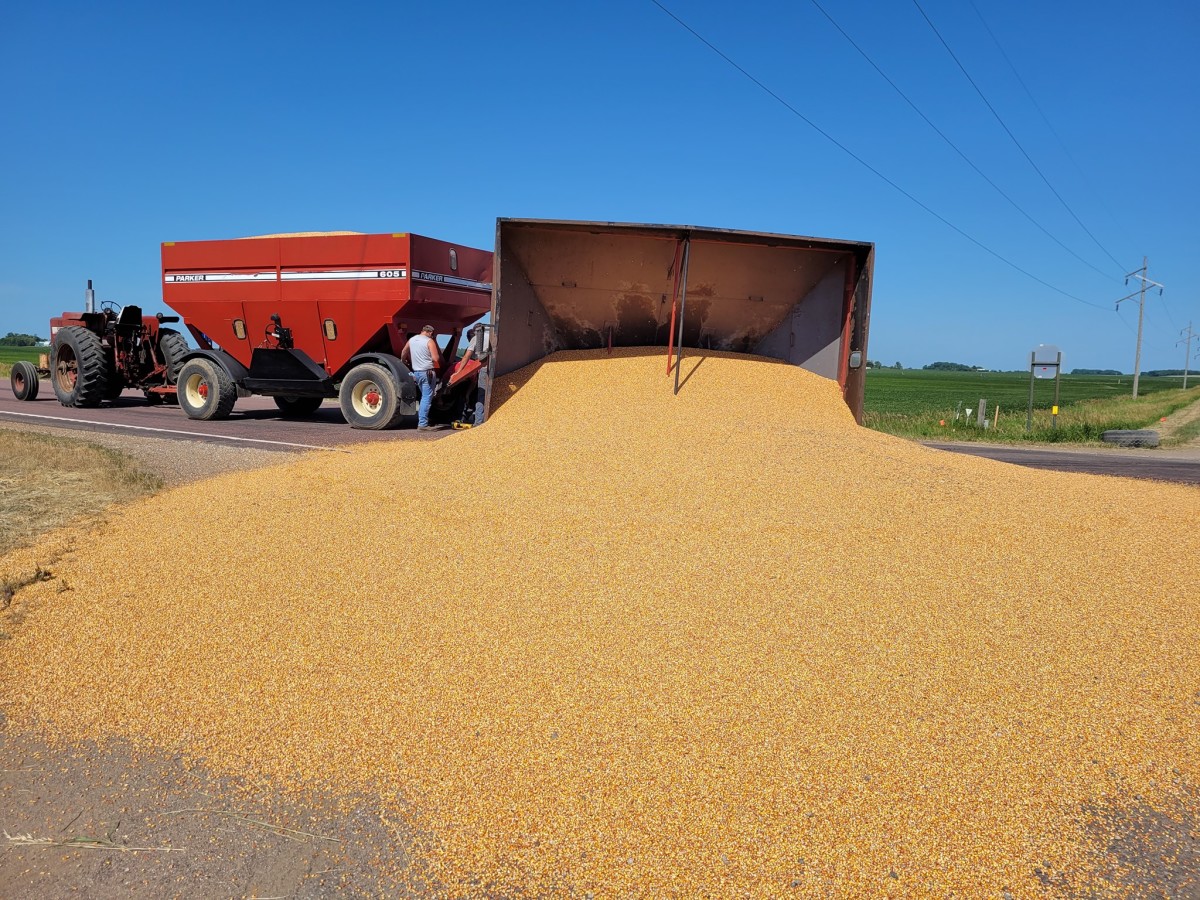Spilled corn covers southern Minnesota highway for 2 hours - Bring Me ...