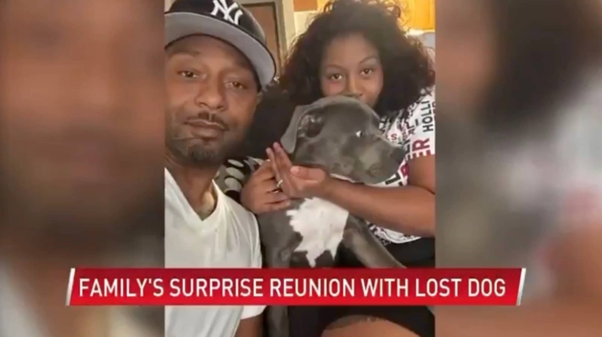Watch: The moment lost dog returns to family during TV interview ...